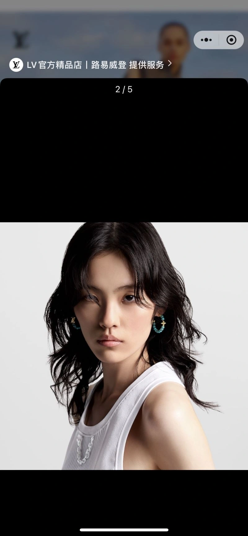 Bargain Louis Vuitton Earrings