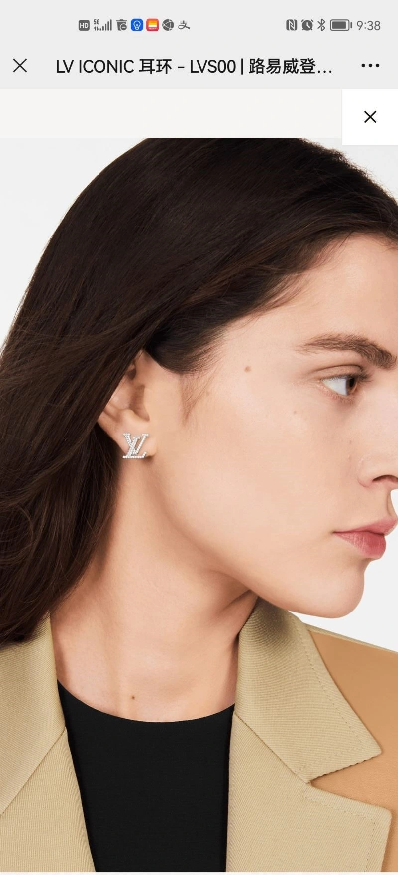 Brand-original Louis Vuitton Earrings