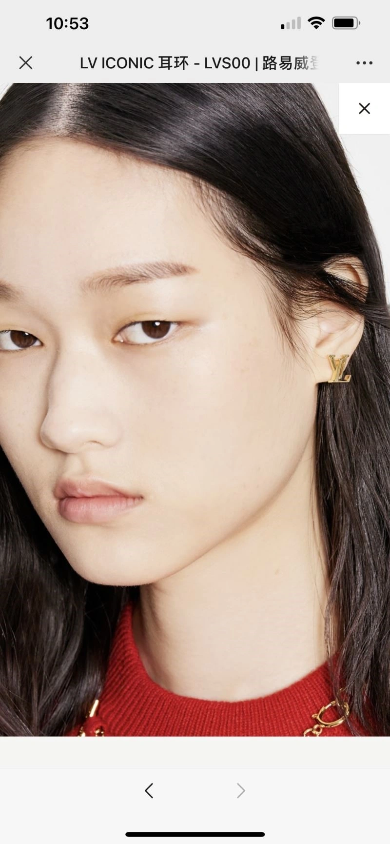 Brand-authenticated Louis Vuitton Earrings