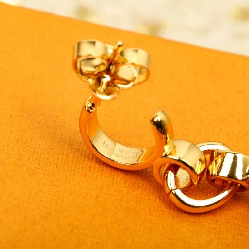 Accurate model Louis Vuitton Earrings