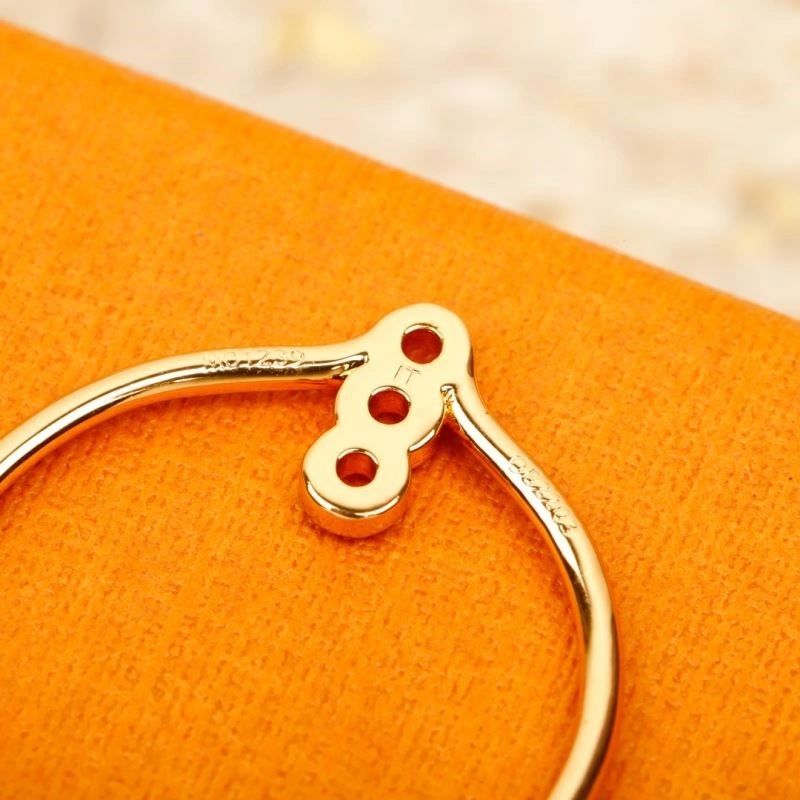 Value-priced Louis Vuitton Earrings