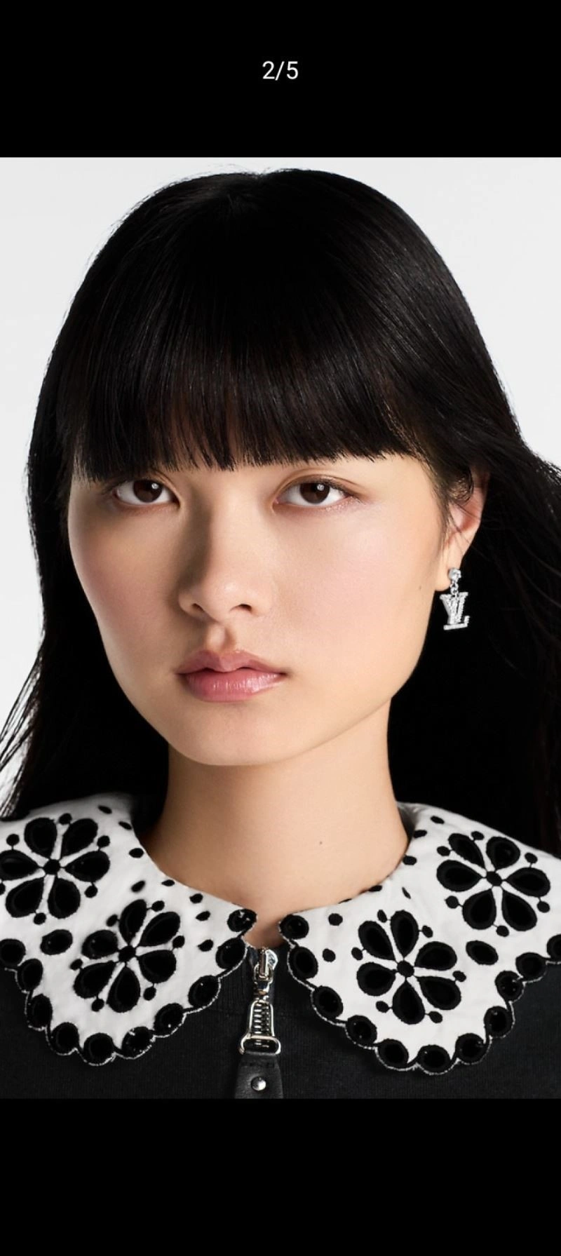 Accurate model Louis Vuitton Earrings