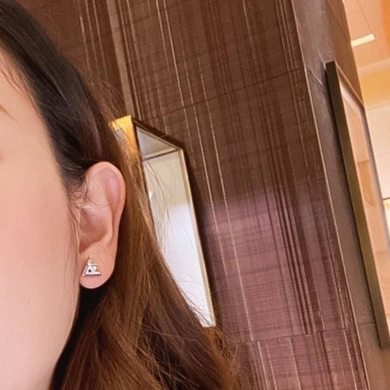 Mirror quality Louis Vuitton Earrings