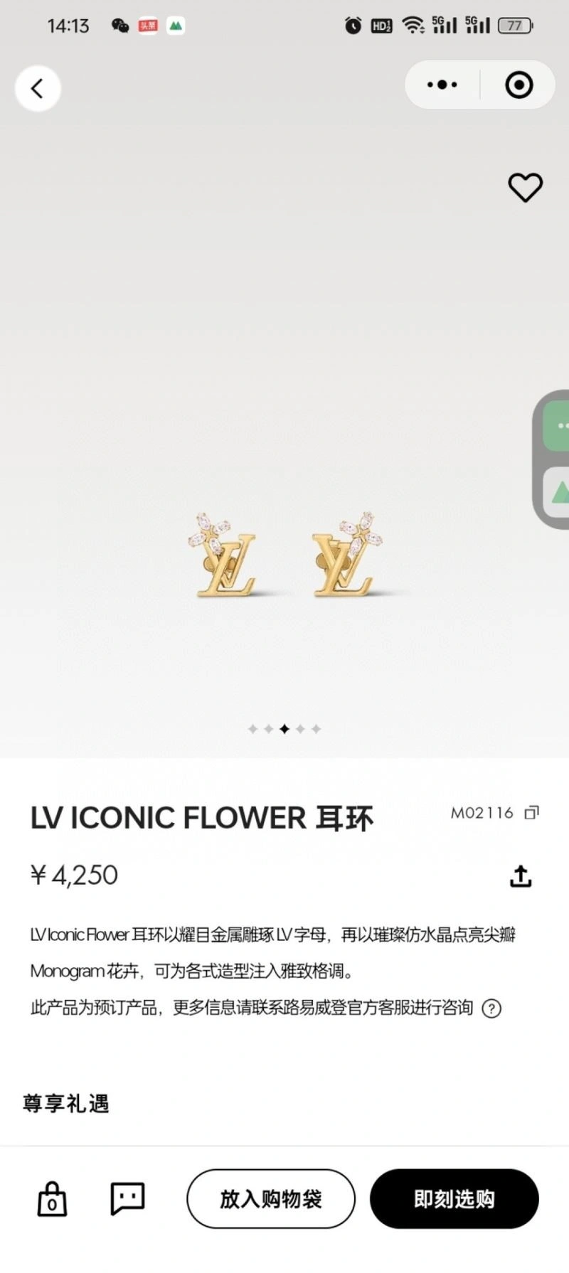 Louis Vuitton Earrings