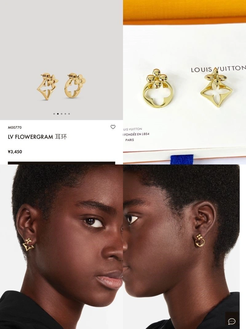 Reasonably priced Louis Vuitton Earrings
