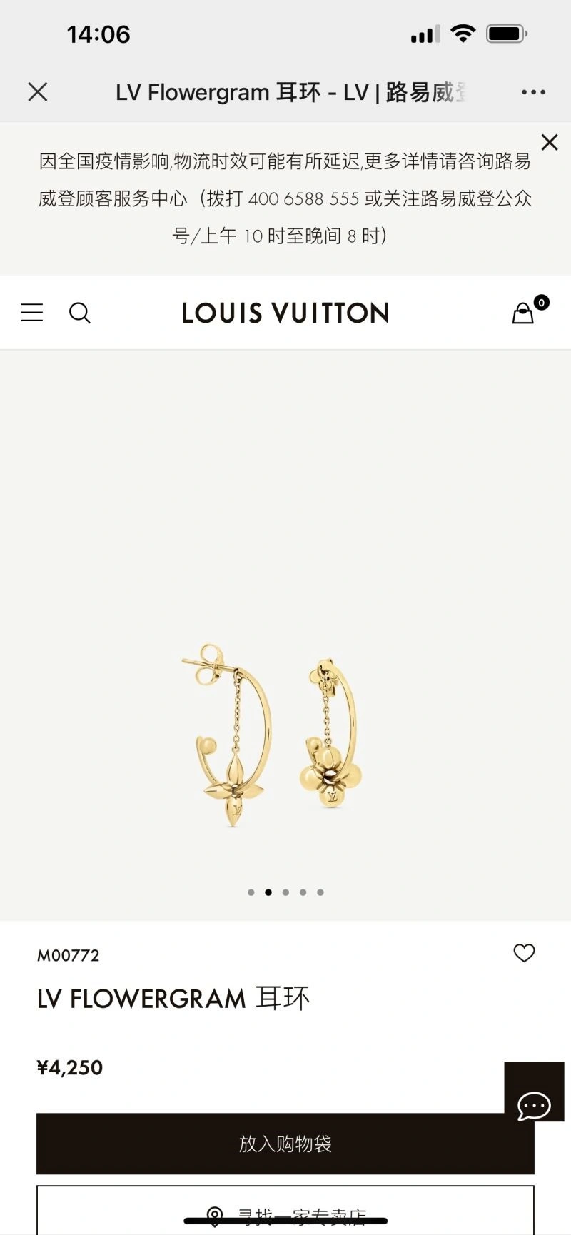 Louis Vuitton Earrings