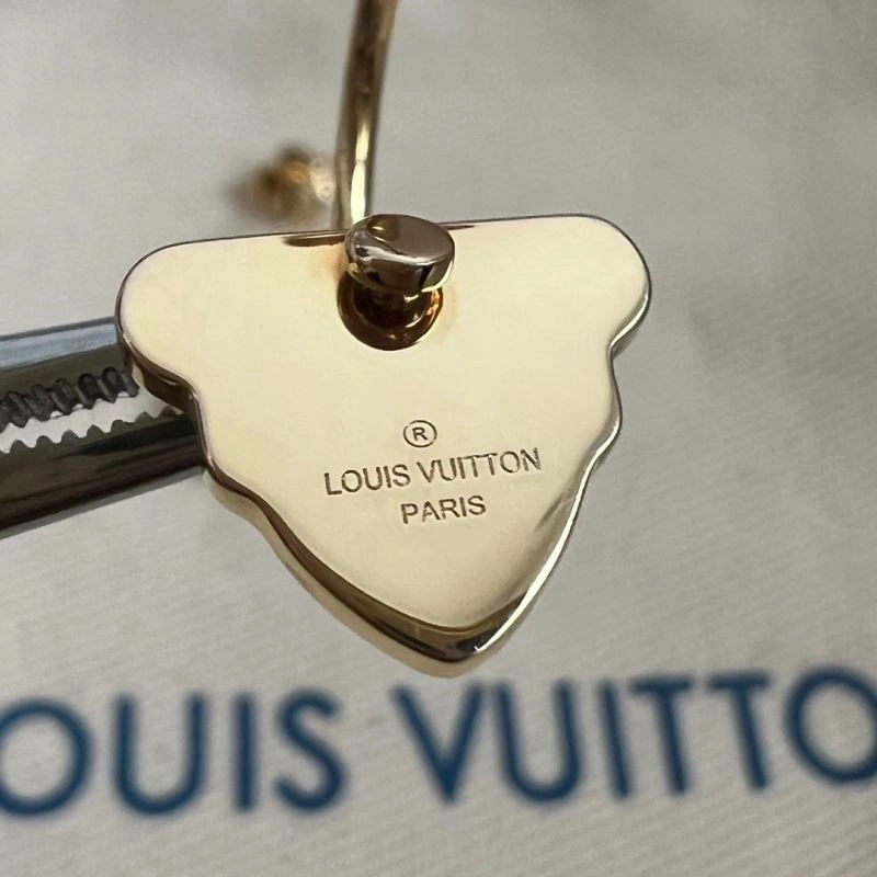 Reasonably priced Louis Vuitton Earrings