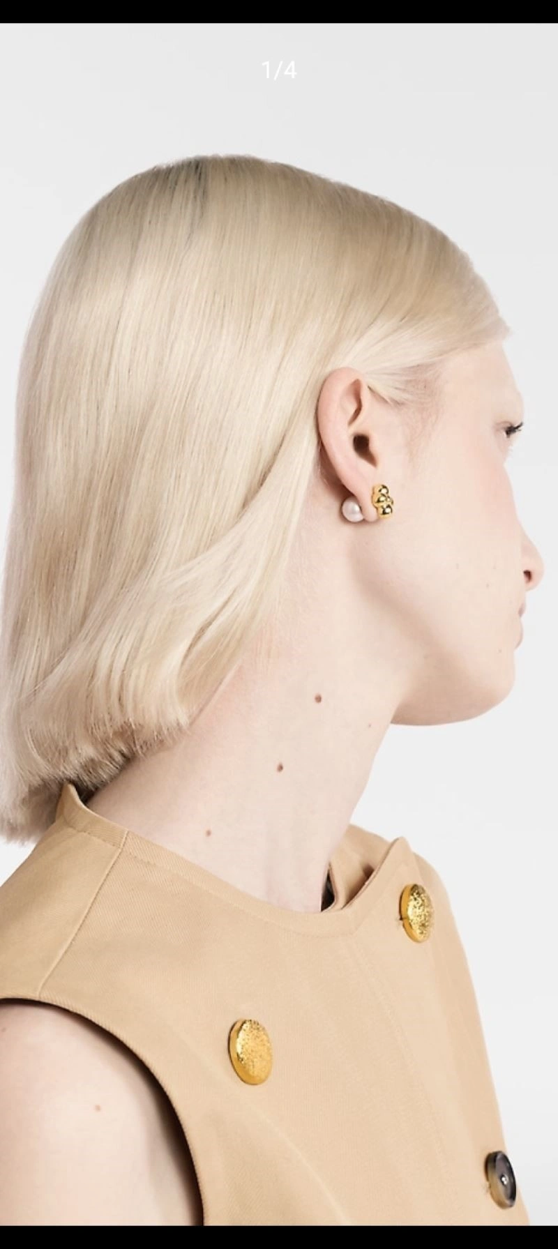Louis Vuitton Earrings