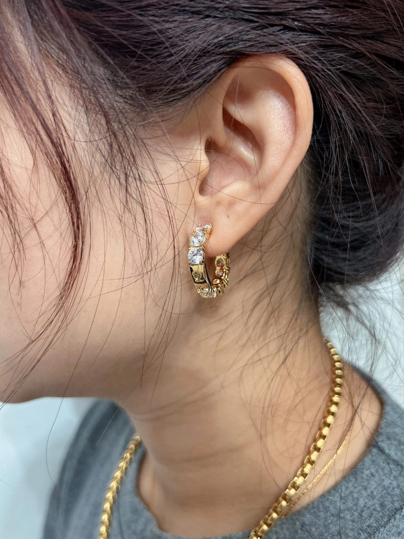 Accurate model Louis Vuitton Earrings