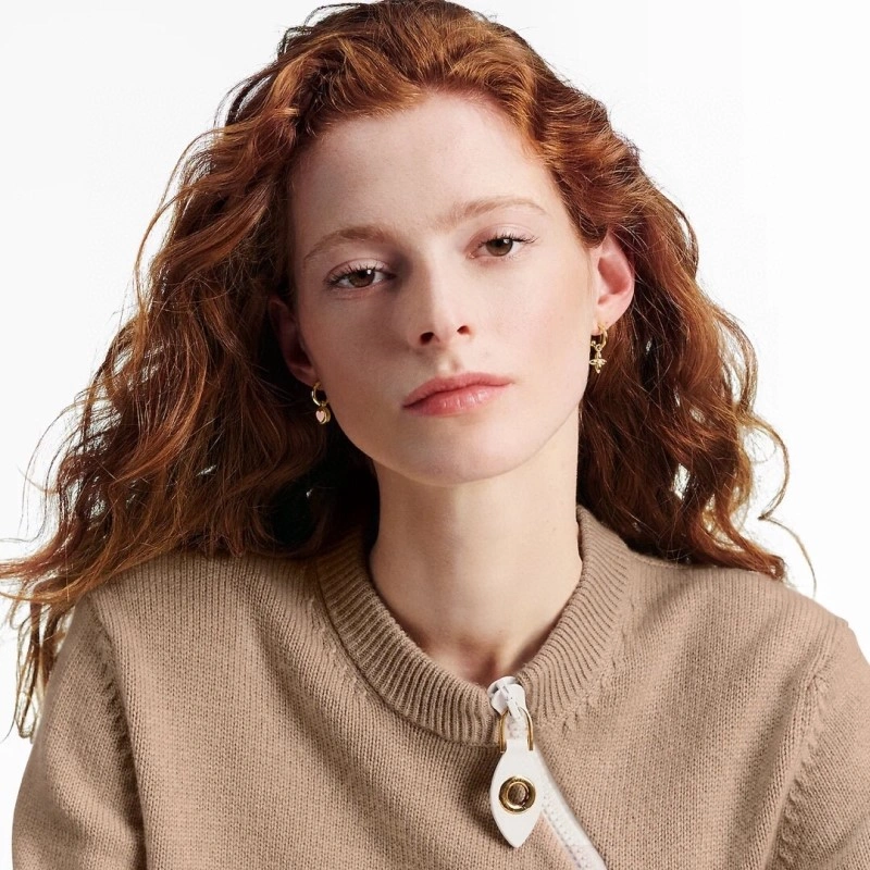 Low-cost Louis Vuitton Earrings
