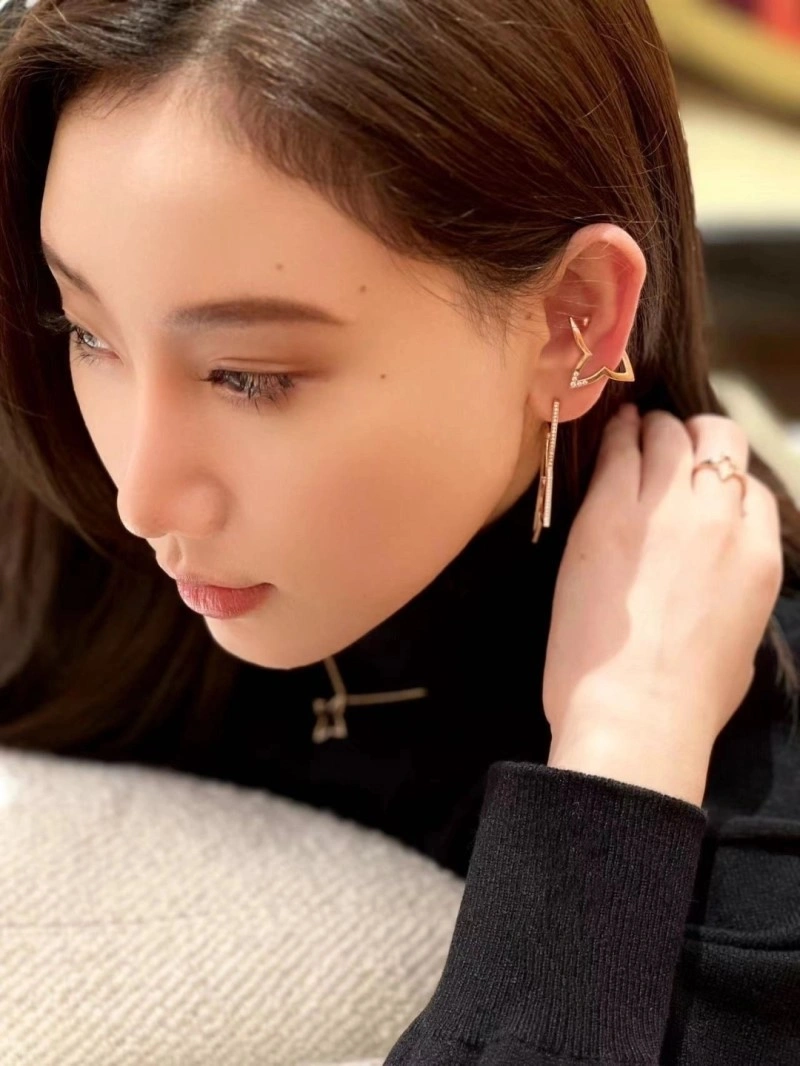 Inexpensive Louis Vuitton Earrings