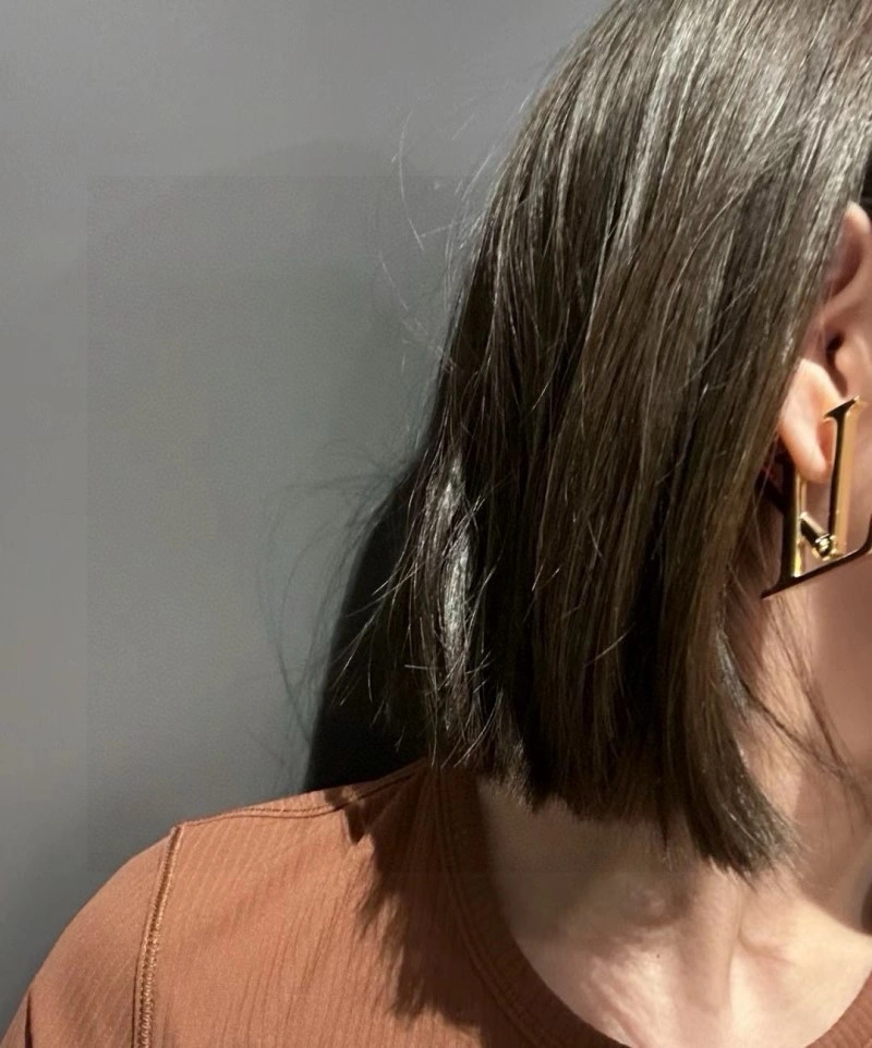 Economical Louis Vuitton Earrings