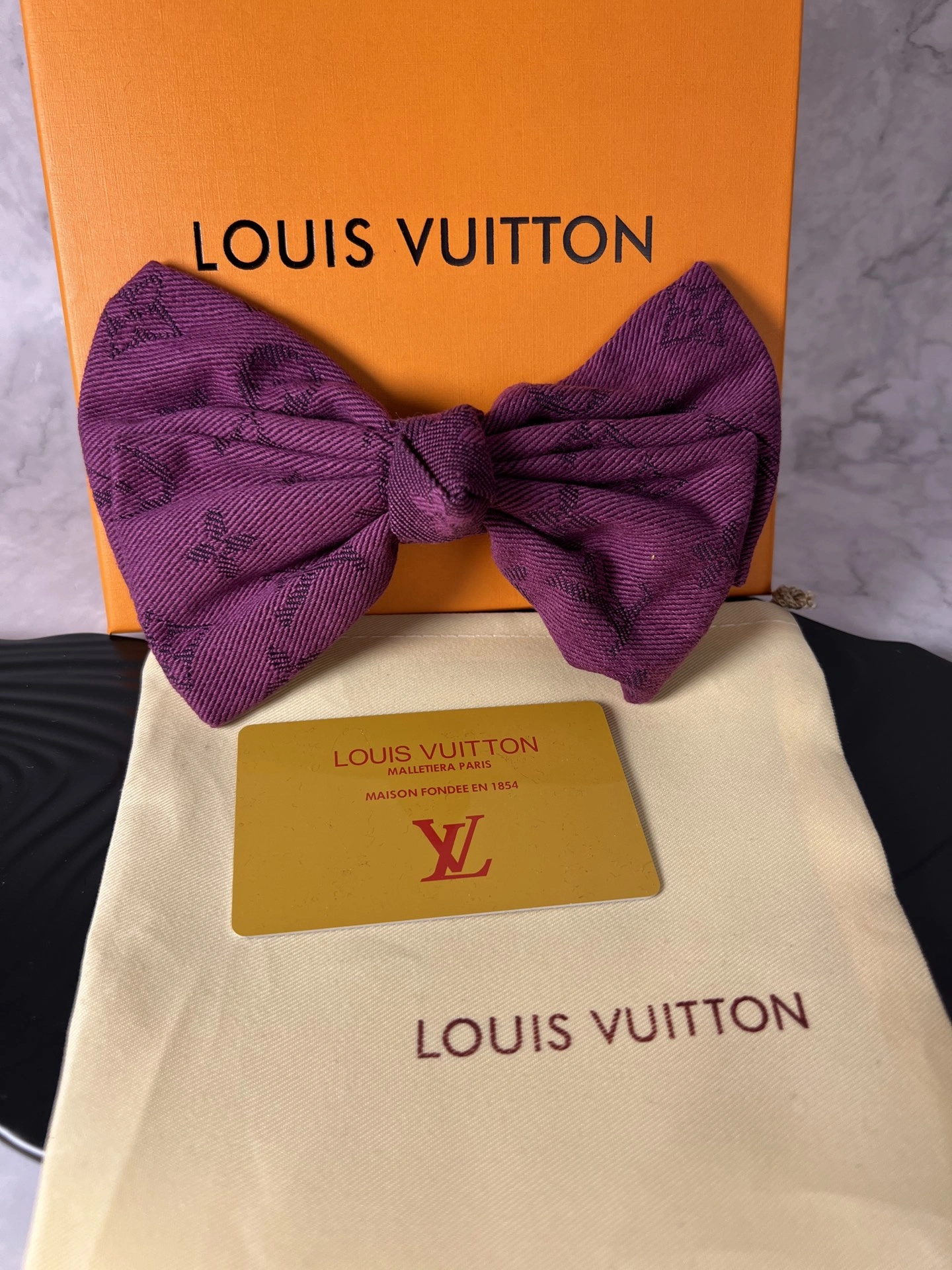 Exact replica Louis Vuitton Hairpins