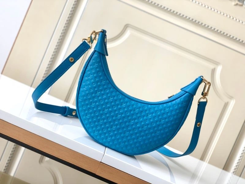 Accurate model Louis Vuitton Hobo Bags