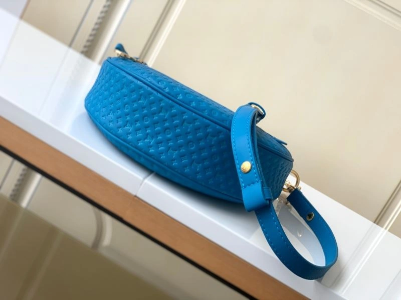 Accurate model Louis Vuitton Hobo Bags
