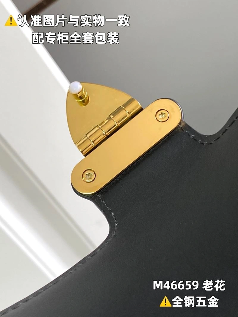 Accurate model Louis Vuitton Hobo Bags