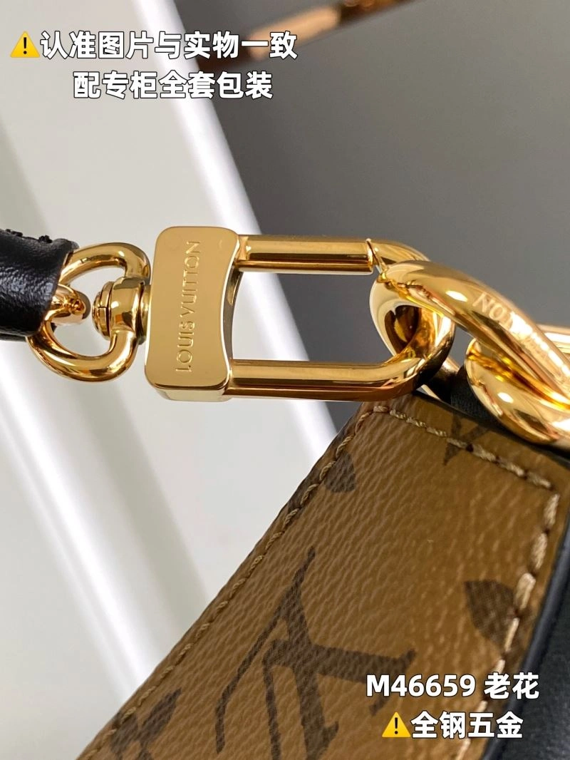 Accurate model Louis Vuitton Hobo Bags