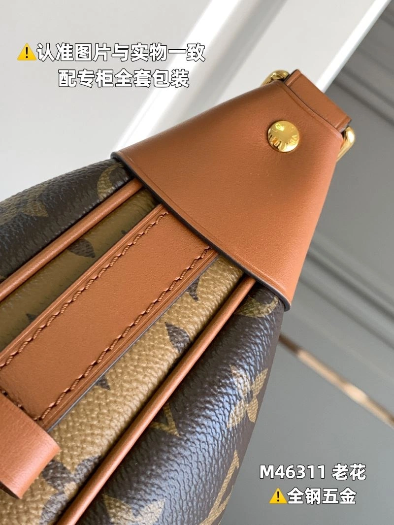 Accurate model Louis Vuitton Hobo Bags