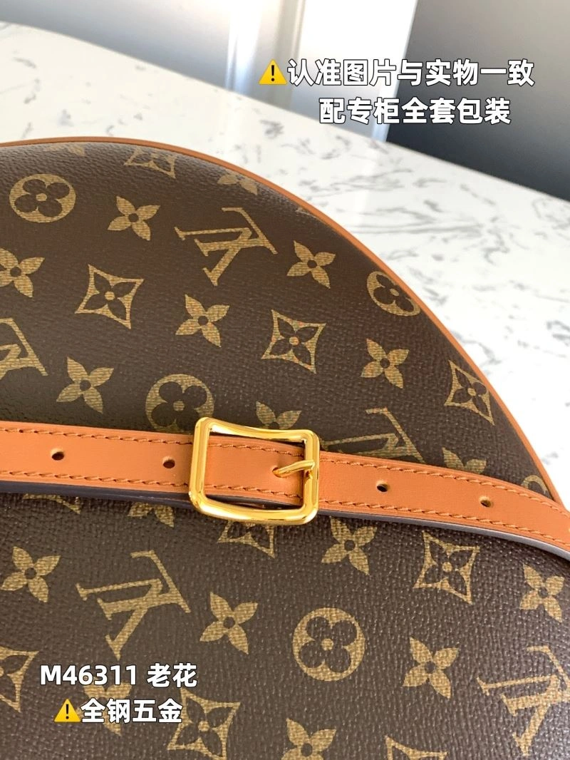 Accurate model Louis Vuitton Hobo Bags