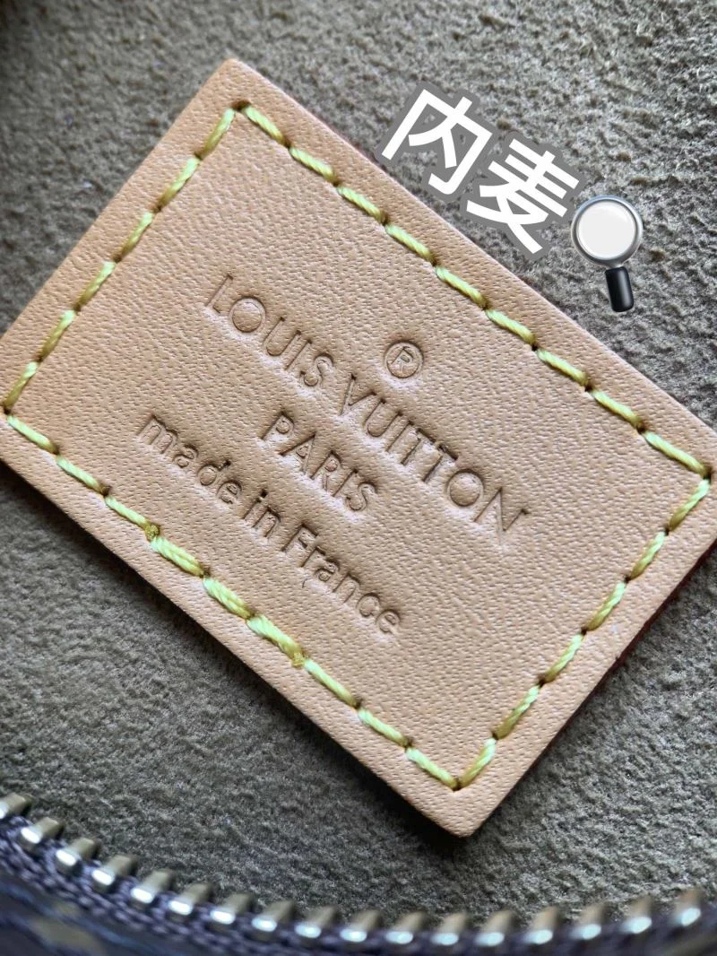 Official Louis Vuitton Hobo Bags