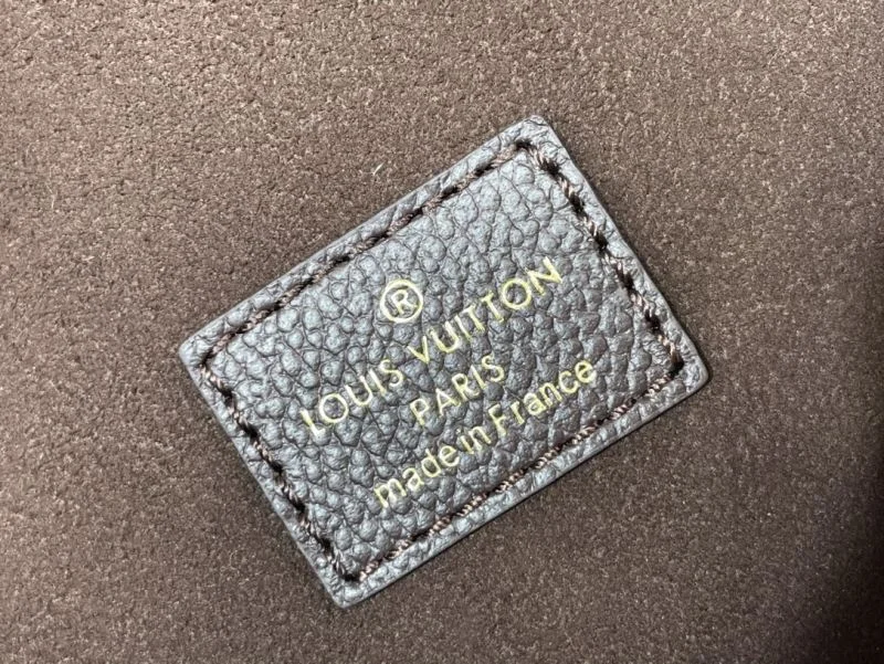 Mirror quality Louis Vuitton Hobo Bags