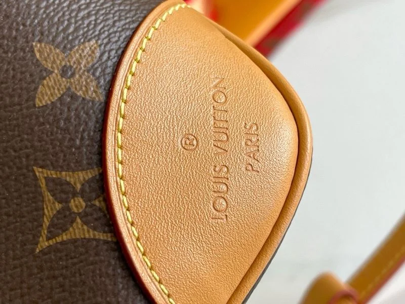 Official Louis Vuitton Hobo Bags