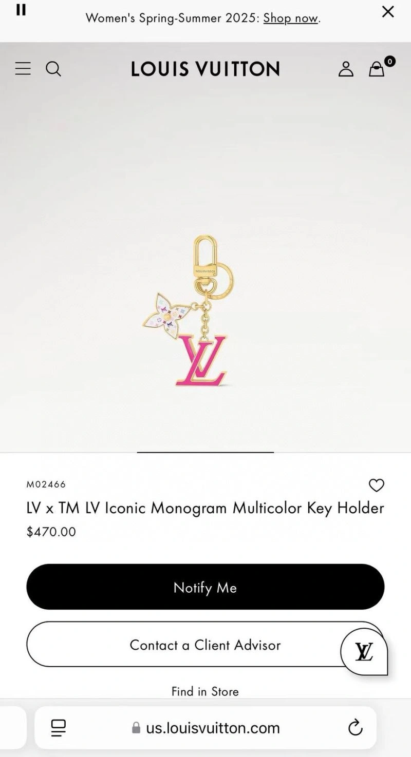 Louis Vuitton Keychains