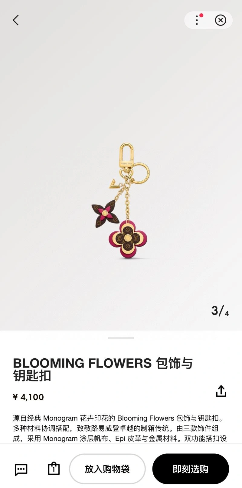 Louis Vuitton Keychains