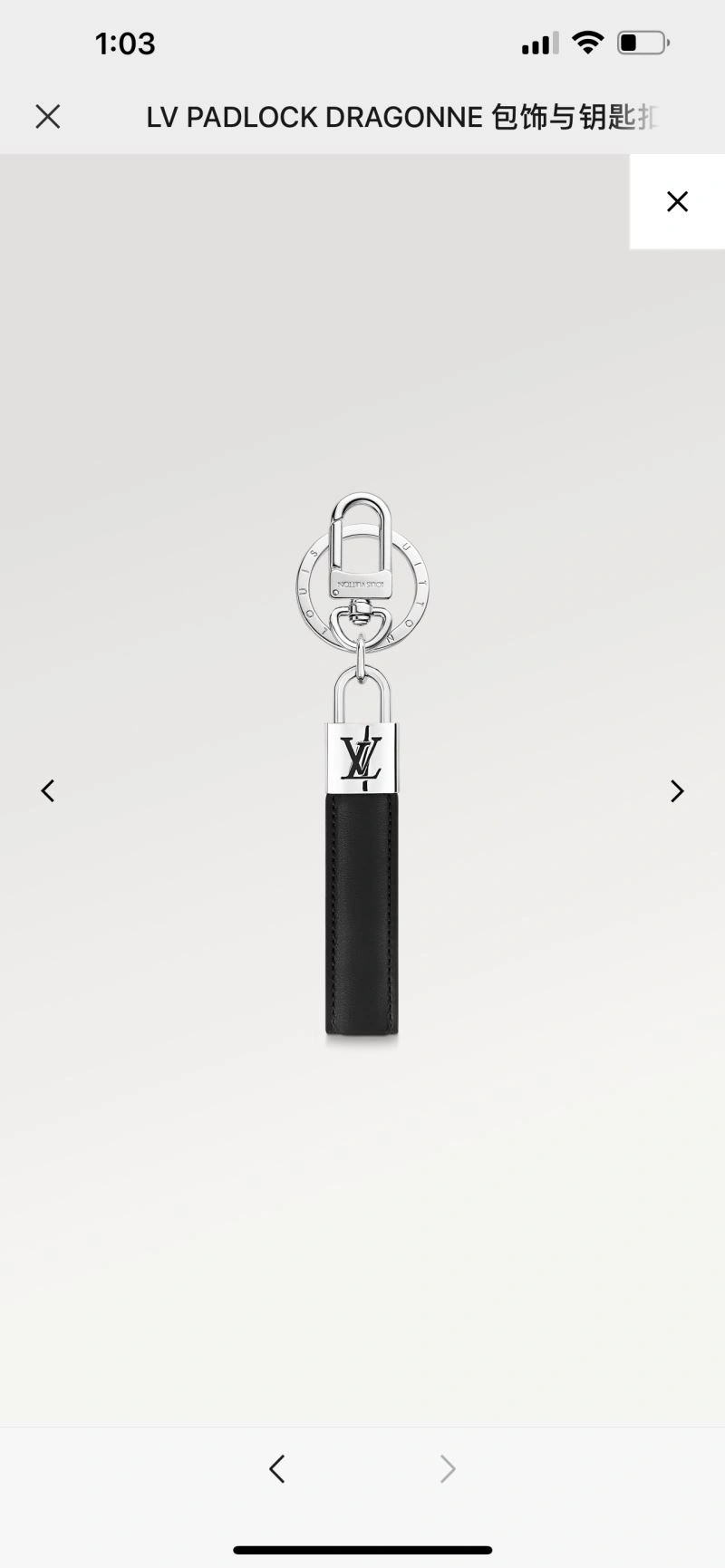 Accurate model Louis Vuitton Keychains