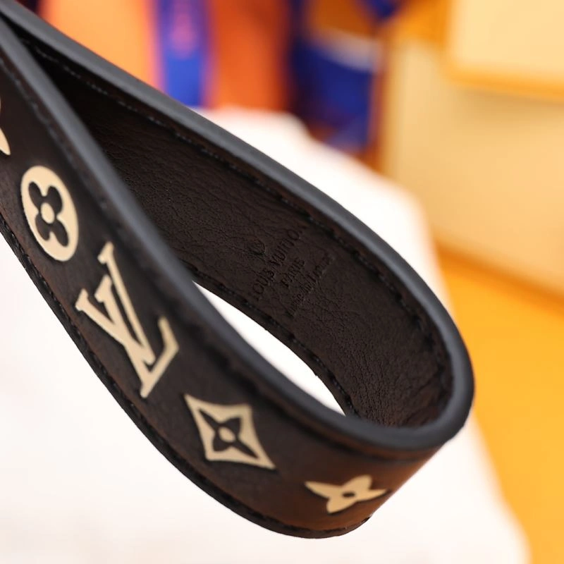 Accurate model Louis Vuitton Keychains