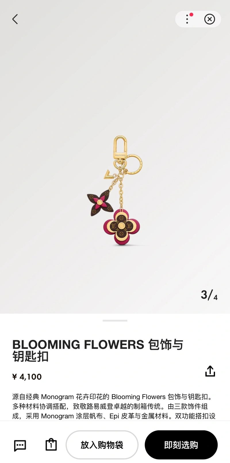 Louis Vuitton Keychains