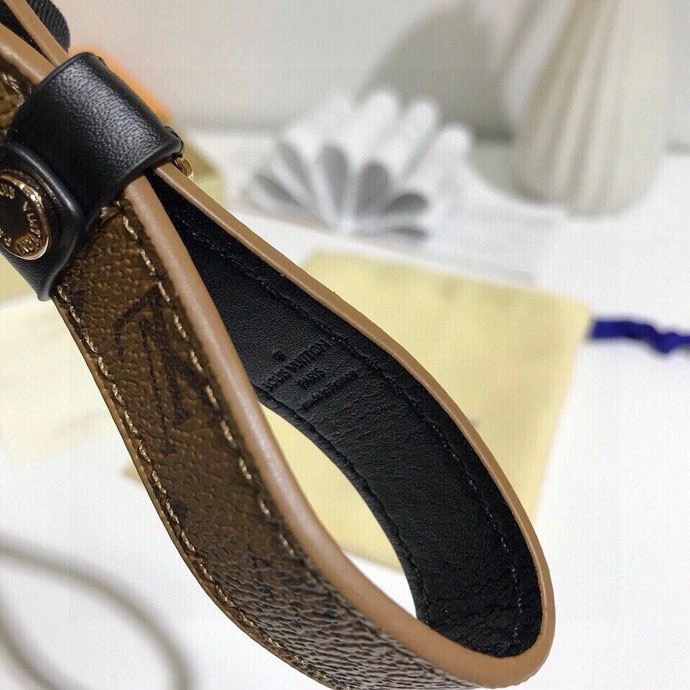 Top match Louis Vuitton Keychains