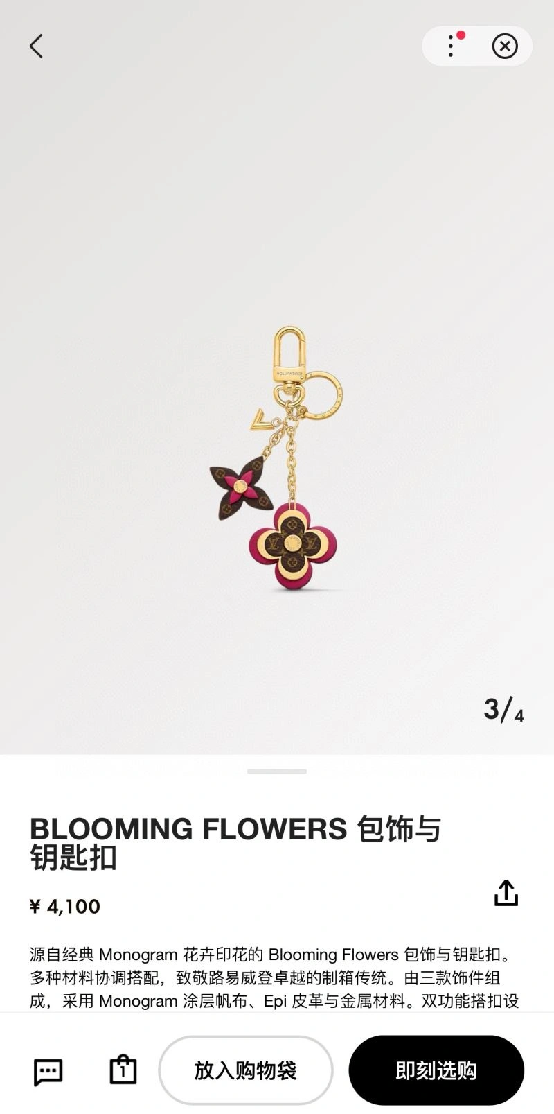 Louis Vuitton Keychains