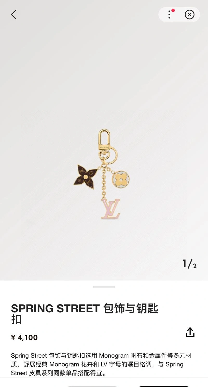 Louis Vuitton Keychains