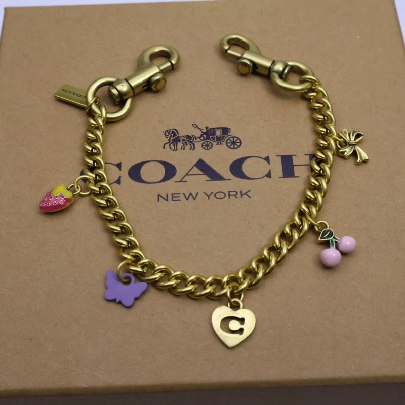 Louis Vuitton Keychains