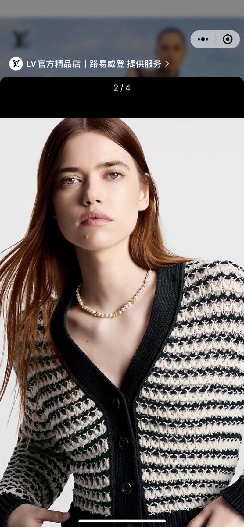 Brand-original Louis Vuitton Necklaces