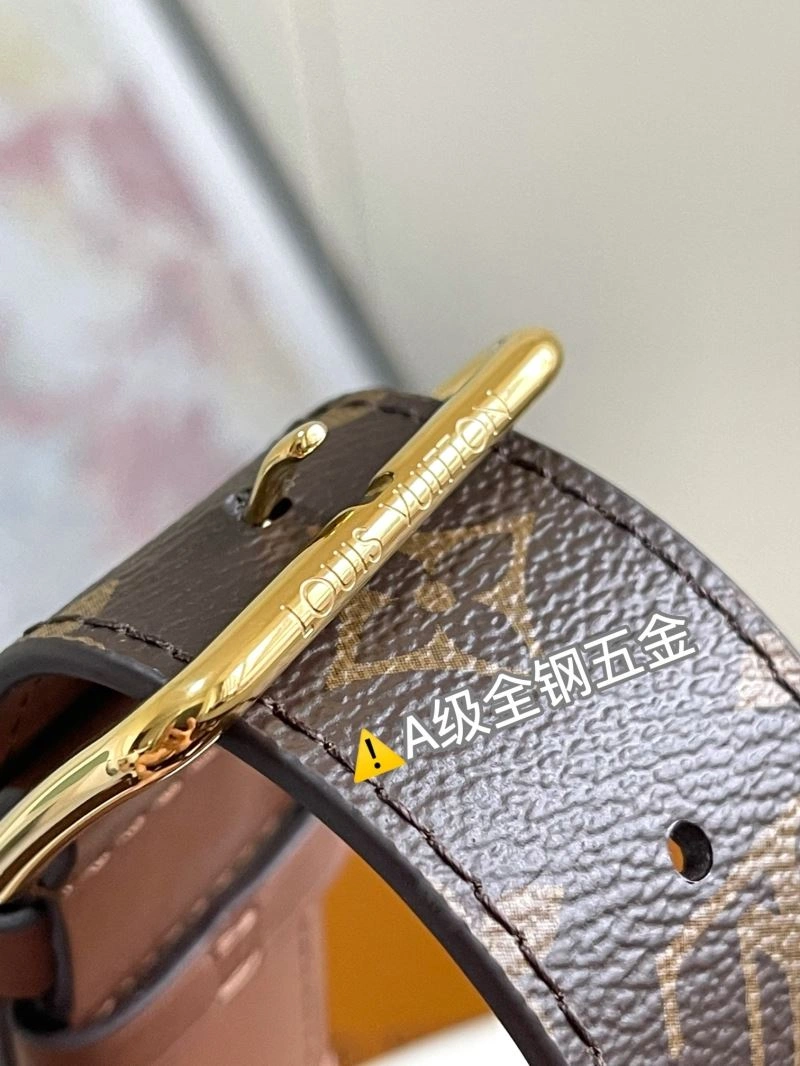 Precise copy Louis Vuitton Round Bags