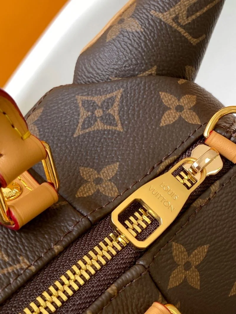 Budget-friendly Louis Vuitton Satchel Bags