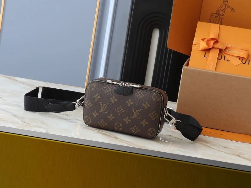 Louis Vuitton Satchel Bags
