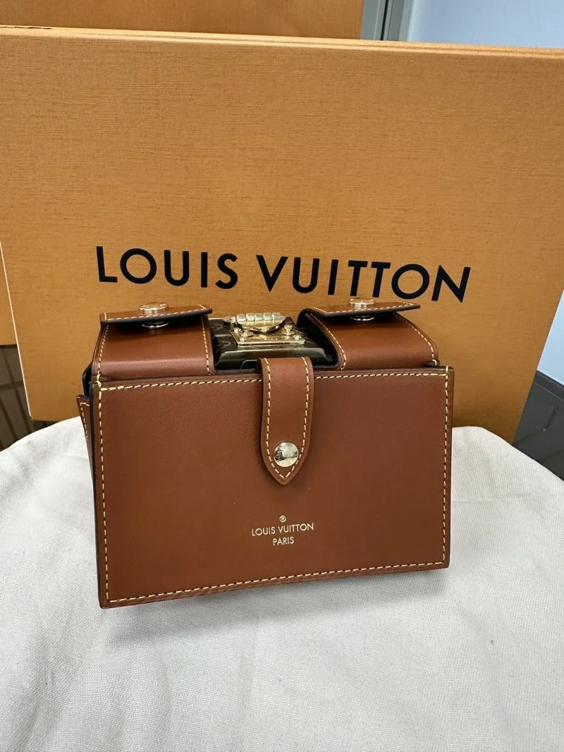 Budget-friendly Louis Vuitton Satchel Bags