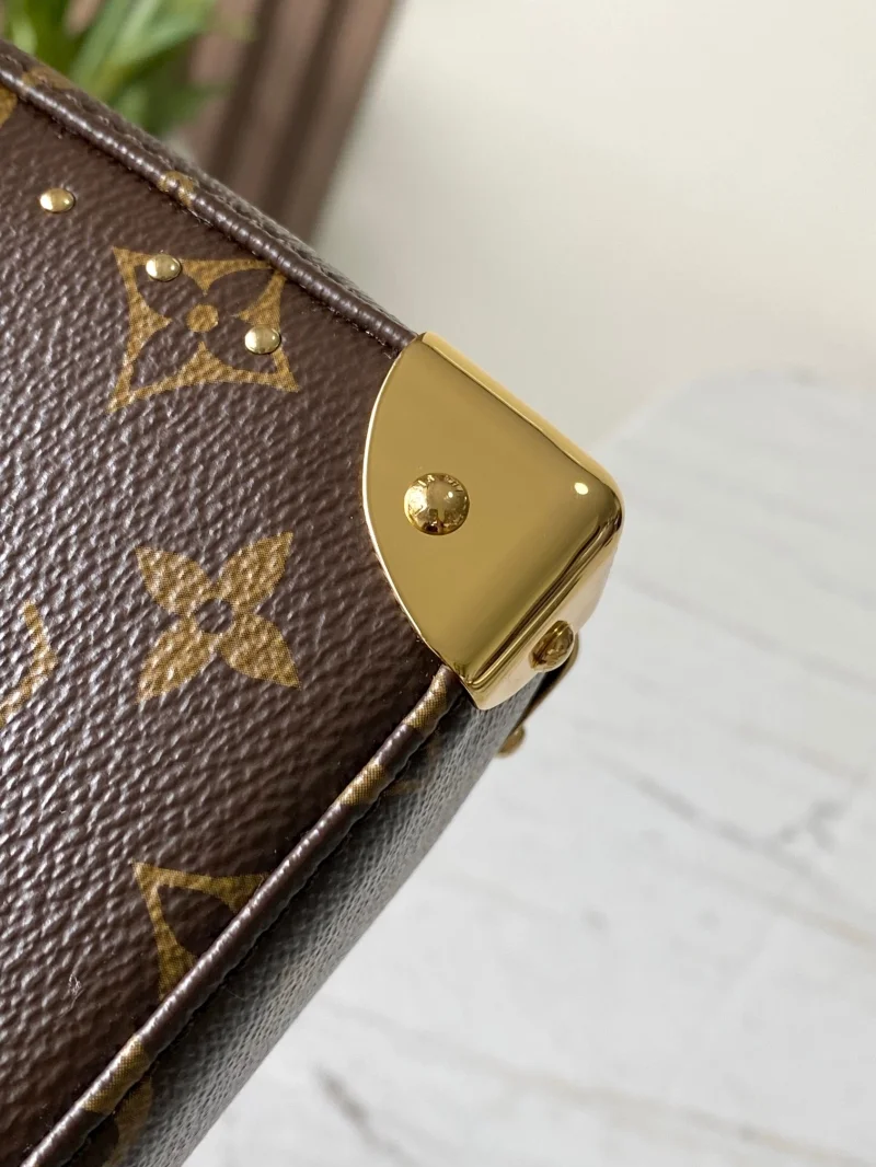 Top mirror Louis Vuitton Satchel Bags