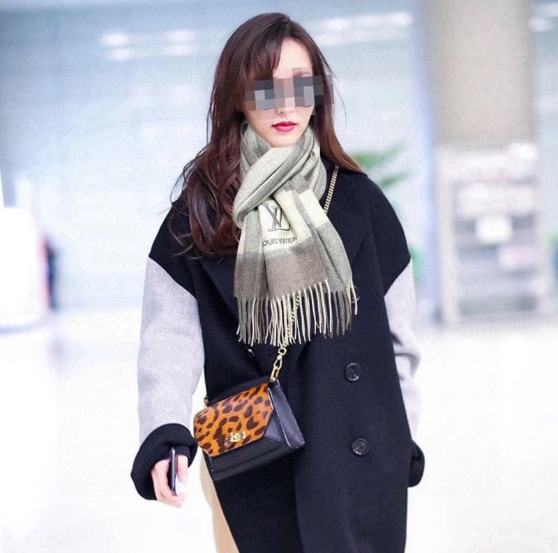 Louis Vuitton Scarf