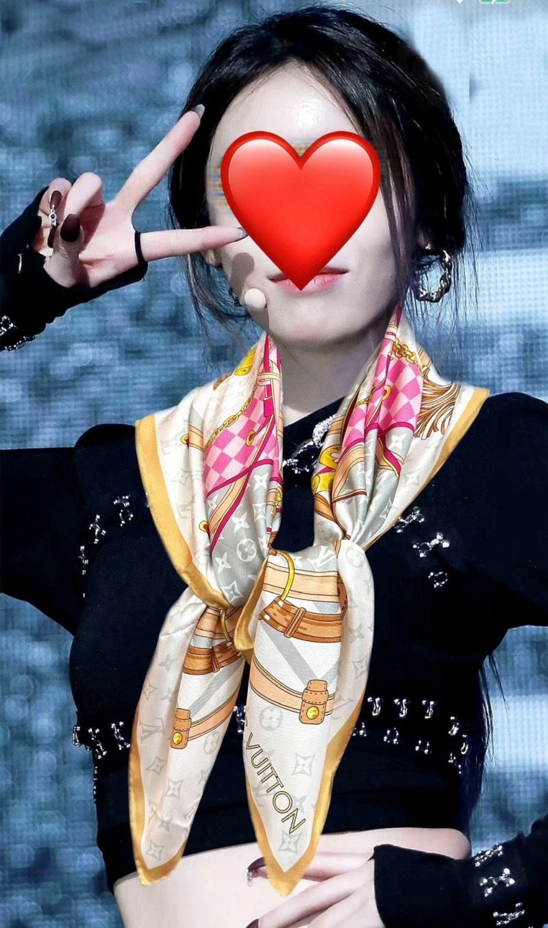 Louis Vuitton Scarf