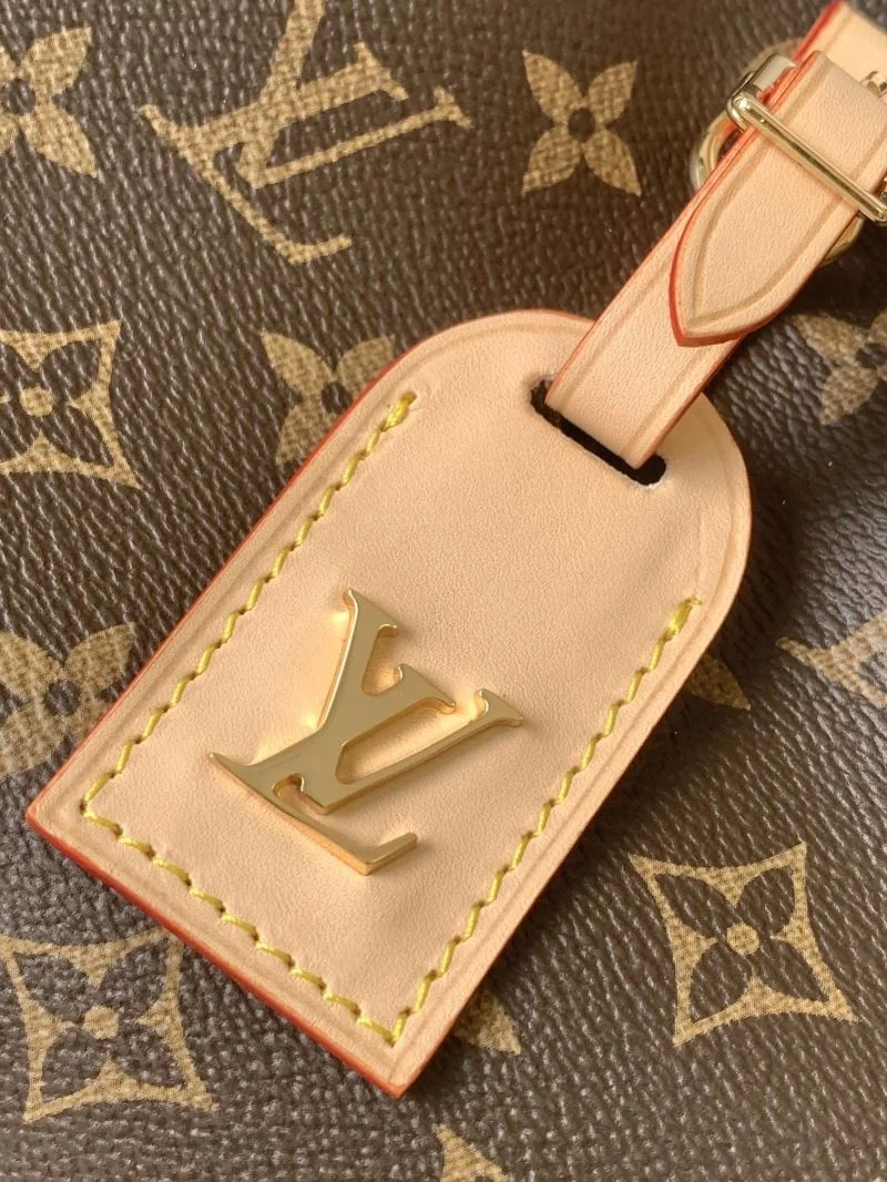 High accuracy Louis Vuitton Shopping Bags