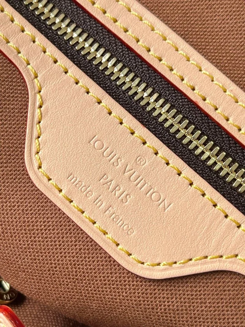 Inexpensive Louis Vuitton Shopping Bags