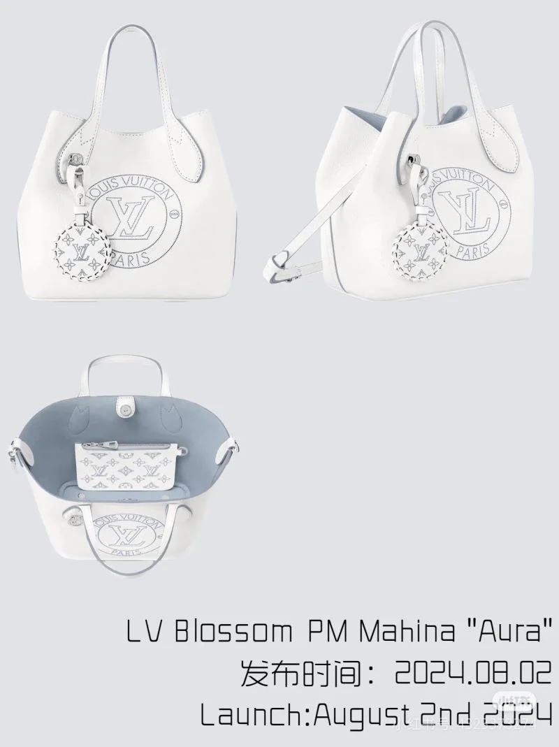 Economical Louis Vuitton Shopping Bags