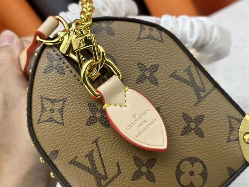 High accuracy Louis Vuitton Speedy Bags