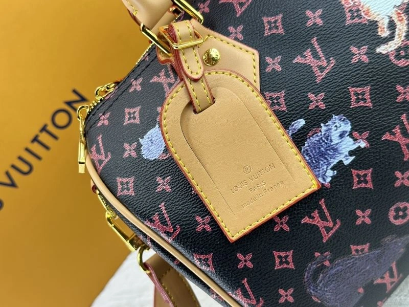 Top match Louis Vuitton Speedy Bags