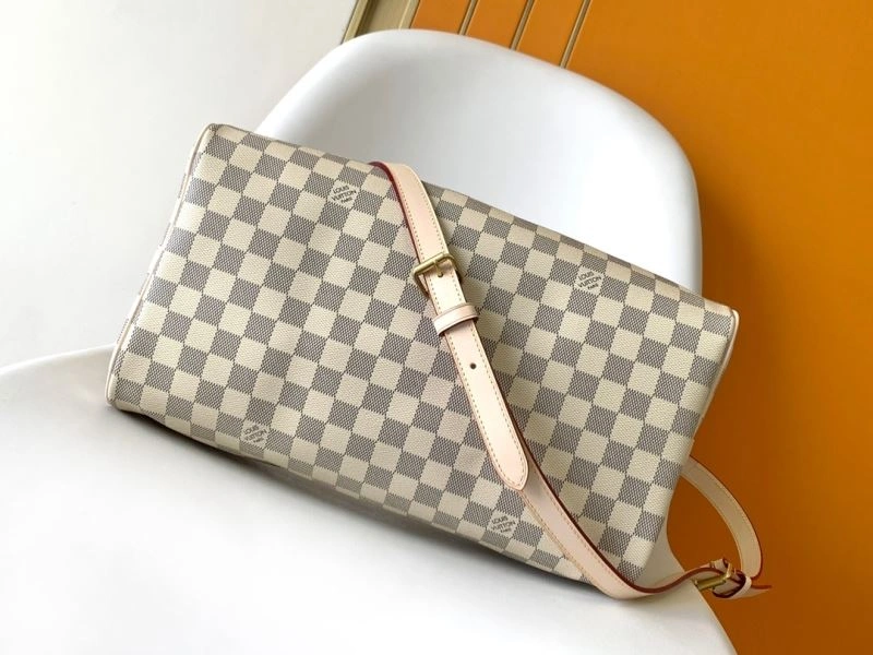 Budget-friendly Louis Vuitton Speedy Bags