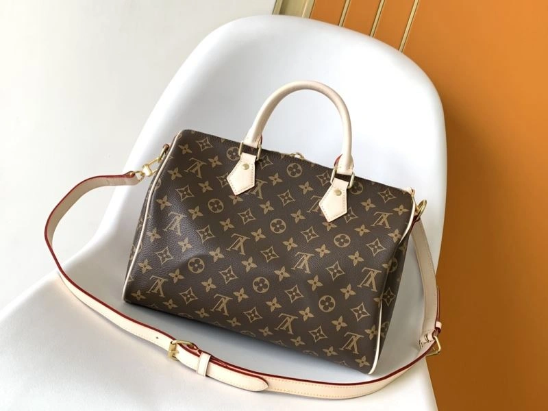 Affordable Louis Vuitton Speedy Bags